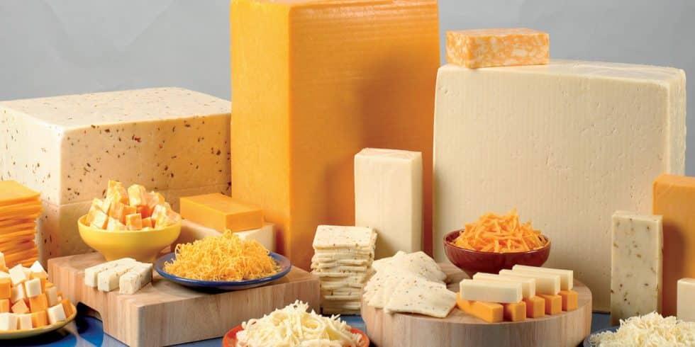 Reliability excellence manager search for multi-billion-dollar cheese ...