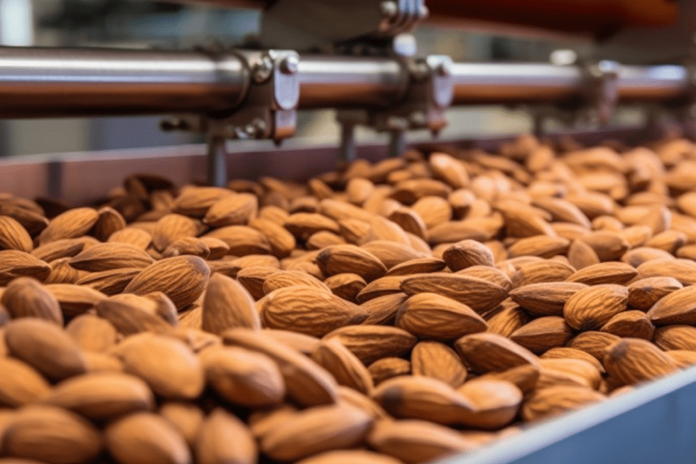 Home - Executive Search | 3P Partners